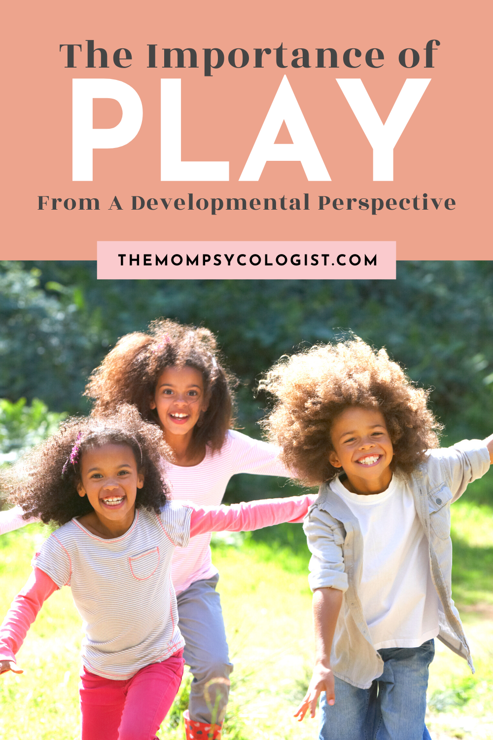 The Importance of Play From a Developmental Perspective ...